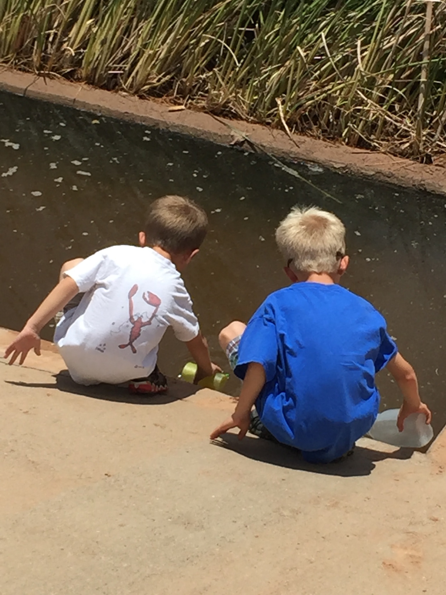 Tadpole Hunting – Kids Play Outside